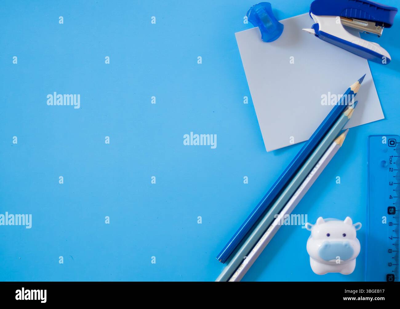 Superior view of didactic elements arranged on a plain light blue ...
