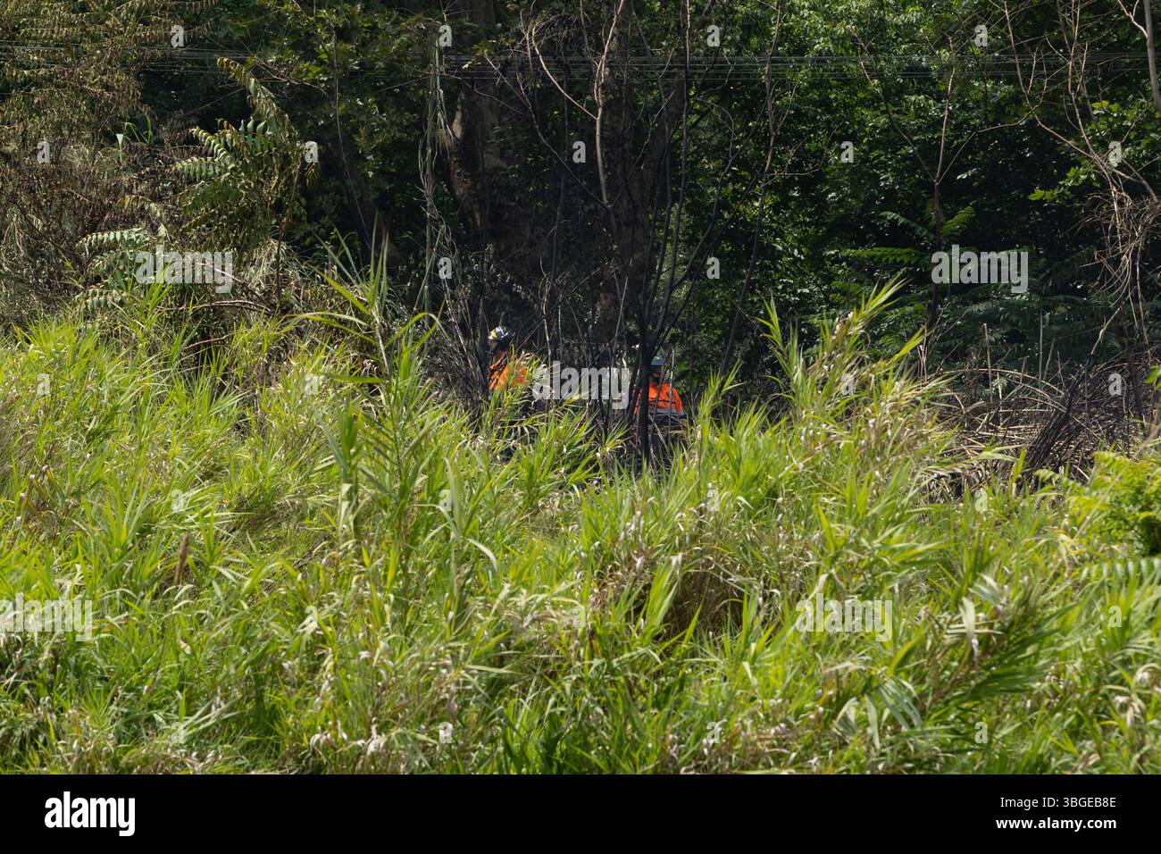 Rome, Italy. 05th June, 2025. Firefighters in action to put out the ...