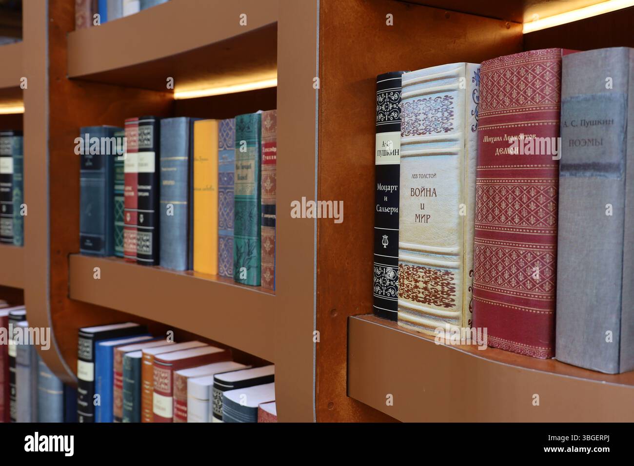 Russian library hi-res stock photography and images - Alamy
