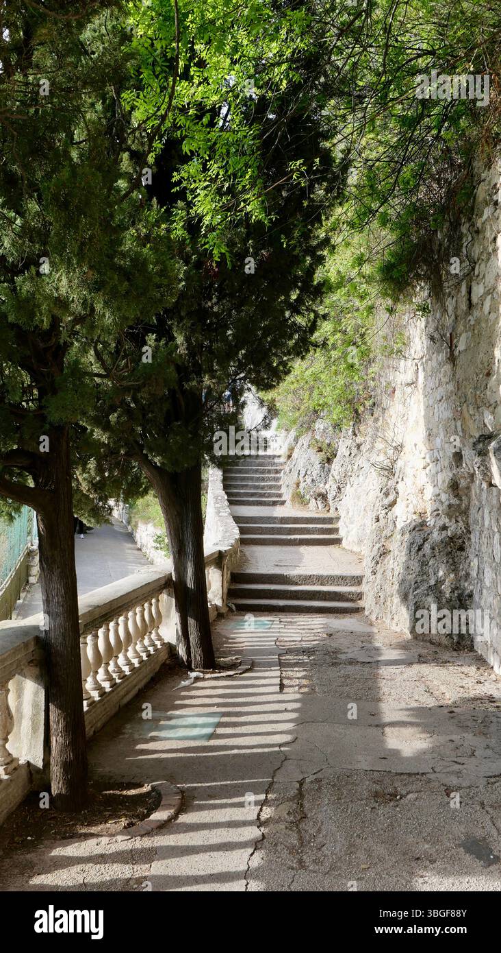 Serene walk along forested coastal hi-res stock photography and images ...