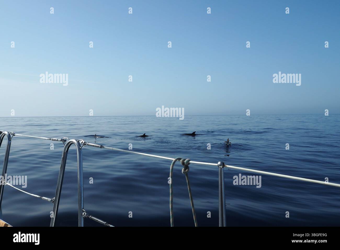 Blue seascape clear sky calm hi-res stock photography and images - Alamy