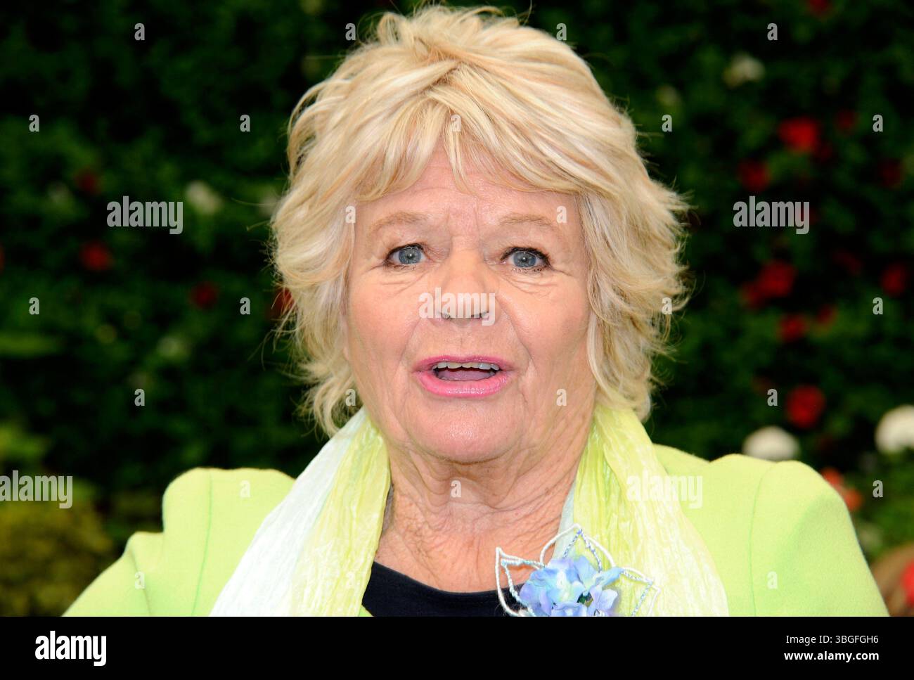 Judith chambers hi-res stock photography and images - Alamy