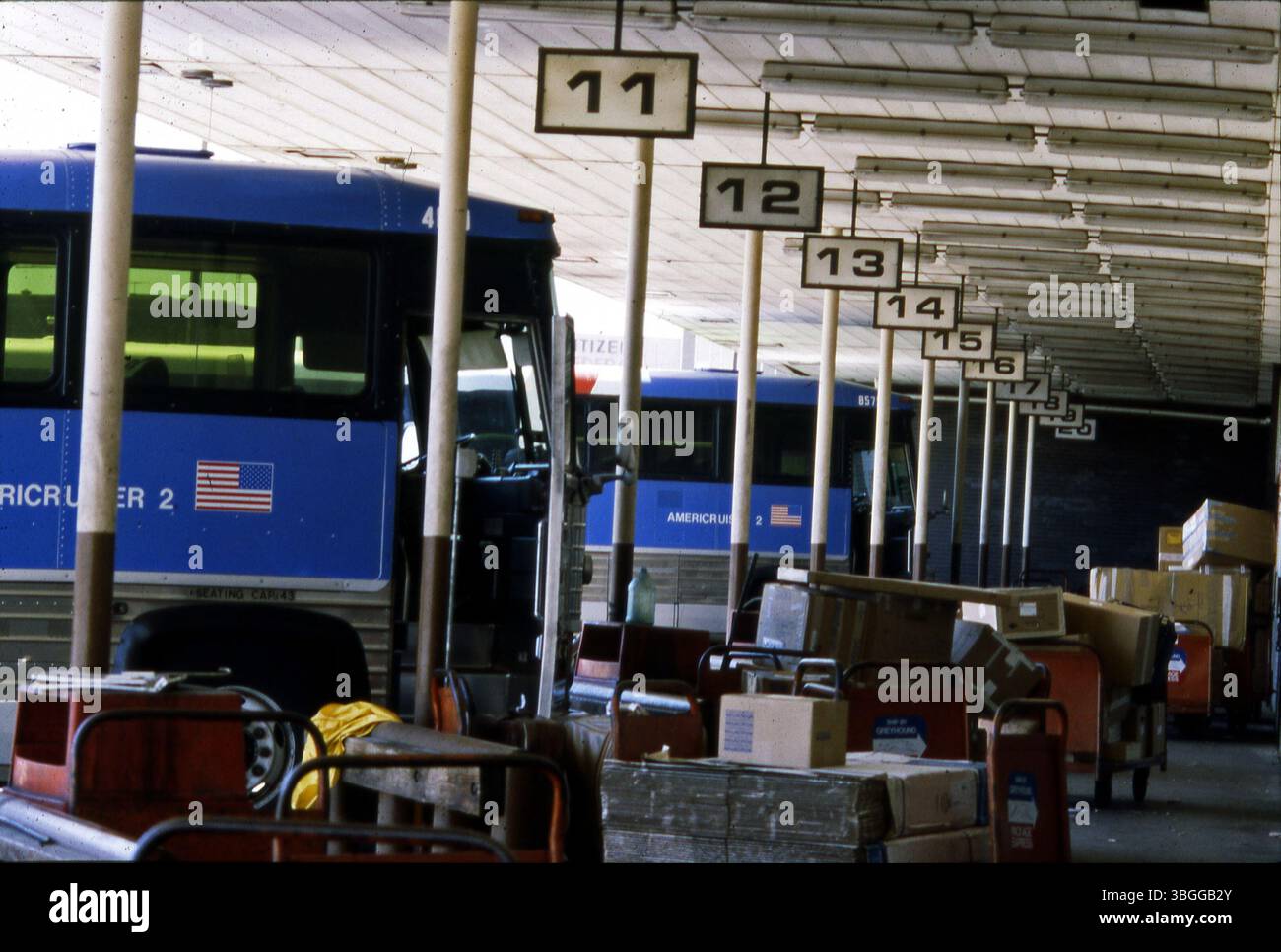 Inside the Greyhound Bus Terminal, two Americruiser buses are parked in ...