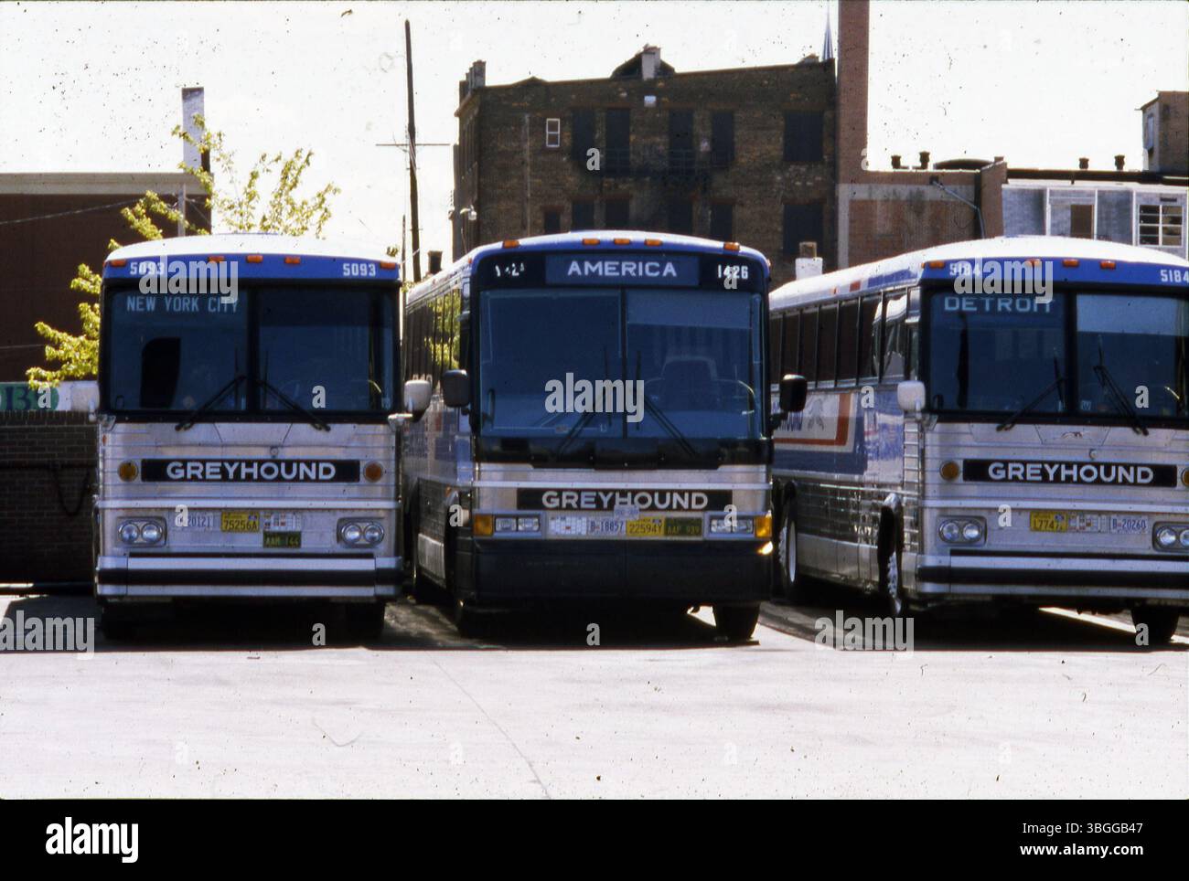 Three Greyhound buses are parked in a bus terminal lot adjacent to East ...