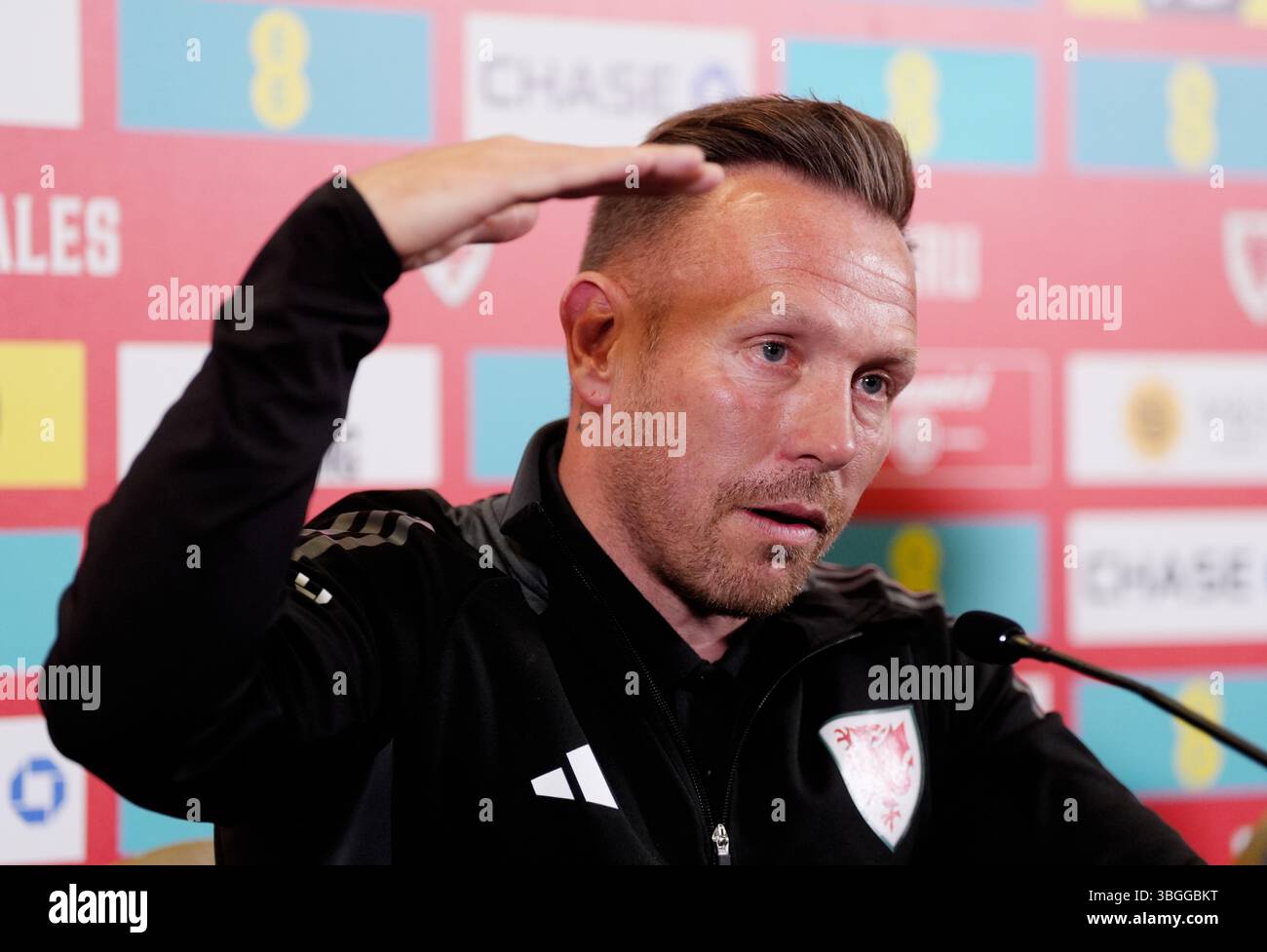 Wales head coach Craig Bellamy during a press conference at the Vale ...