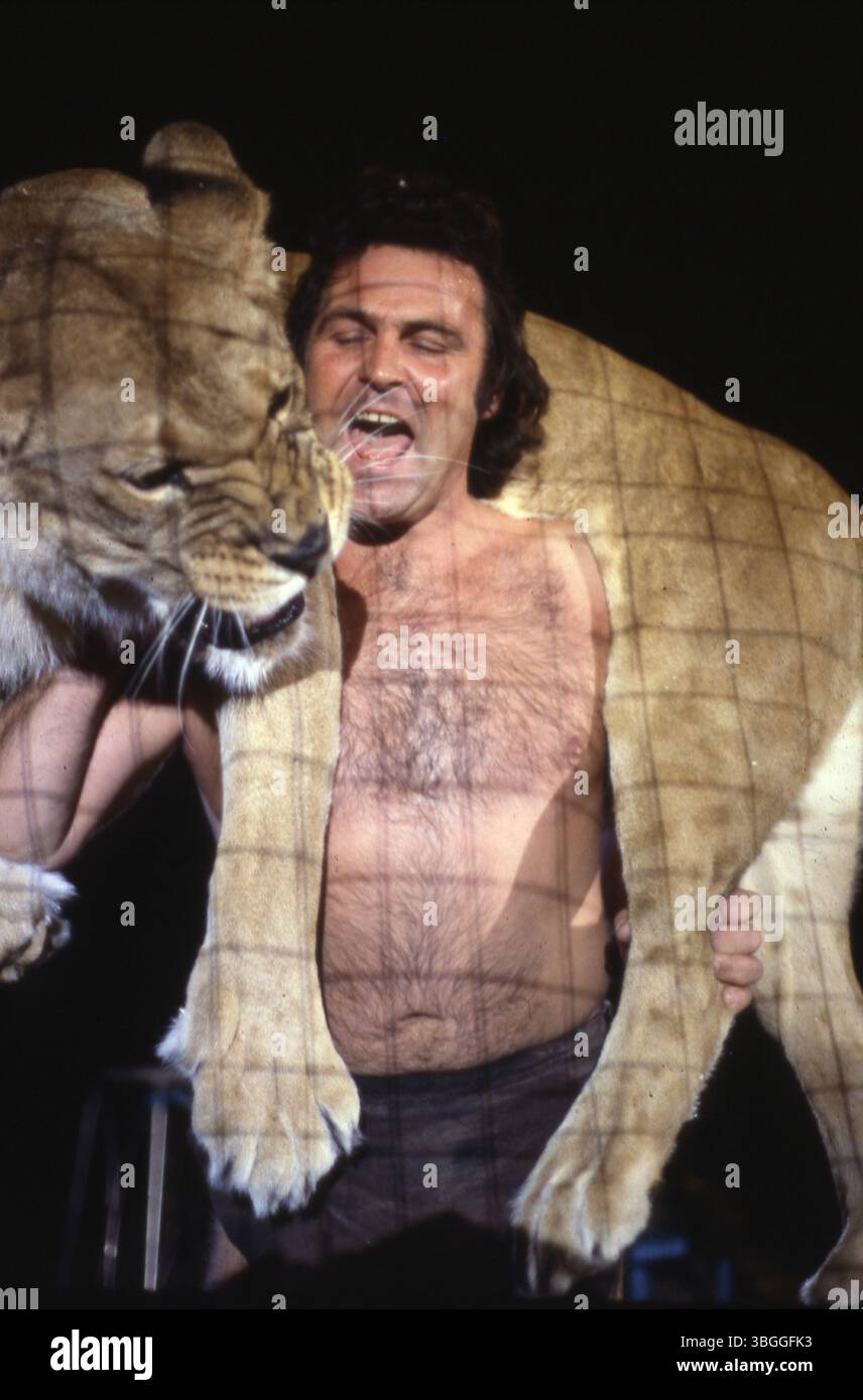 Tarzan Zerbini holds a lion on his shoulders during a performance at ...