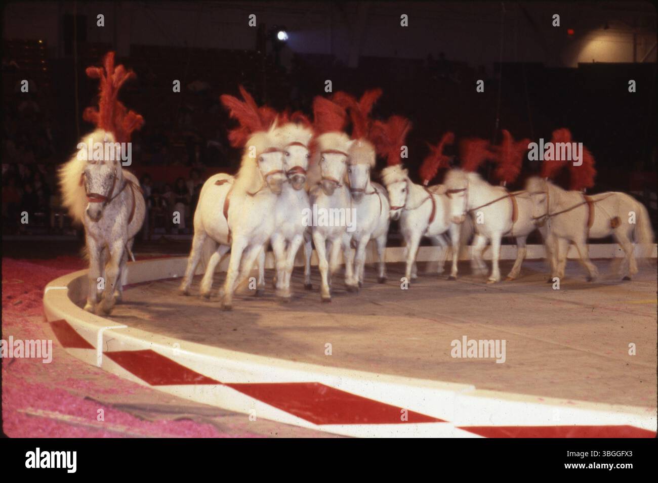 The 29th annual Aladdin Shrine Circus, held at the Ohio State ...