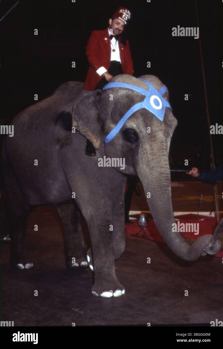 In 1979, the Aladdin Shrine Circus performed at the Ohio State ...