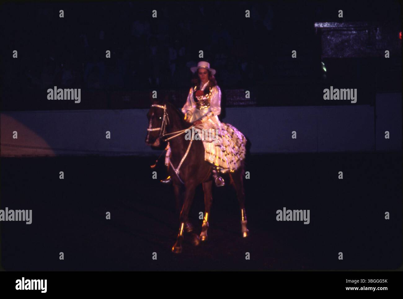 A woman wearing a white dress with gold trim rides a horse at the All ...