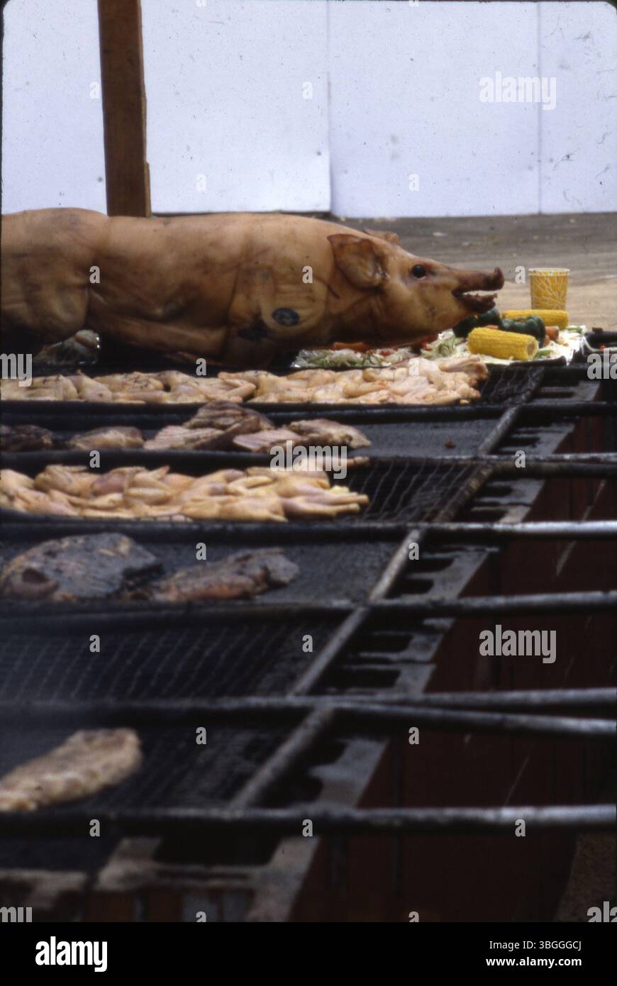 A view of grilled meat at the Ohio State Fair featuring a roast pig and ...