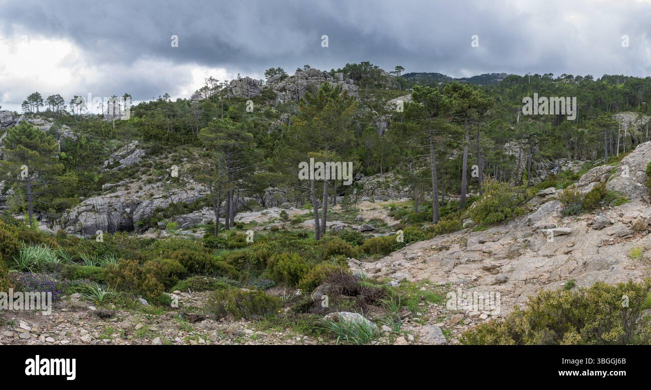 Hiking trail to the Cascade de Piscia di Gallo waterfall, Piscia di ...