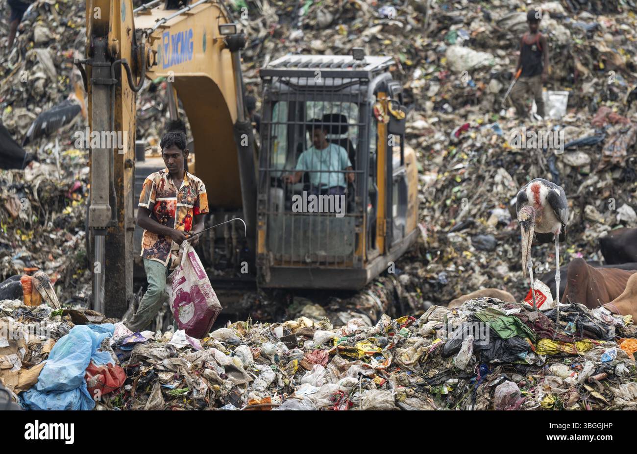 Garbage Collectors Searching For Recyclable Material At Garbage