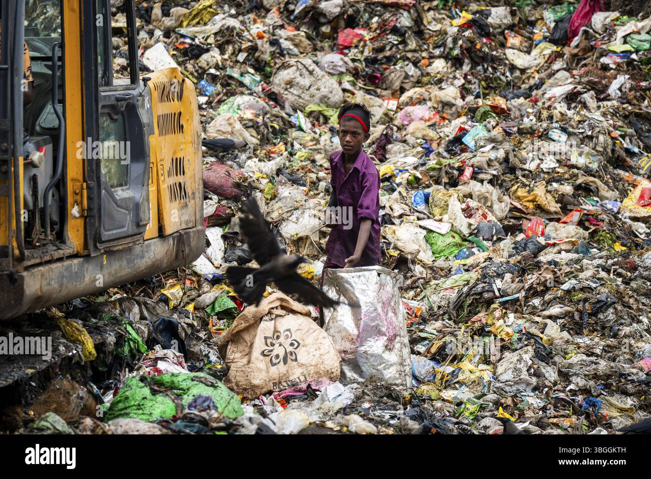 Garbage collectors searching for recyclable material at garbage ...