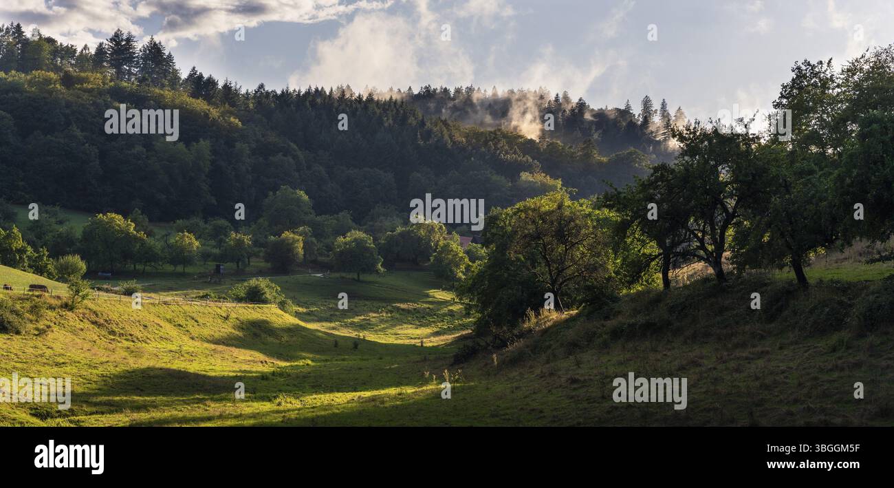 Landscape in the Odenwald with trees, meadows, forest and hills ...