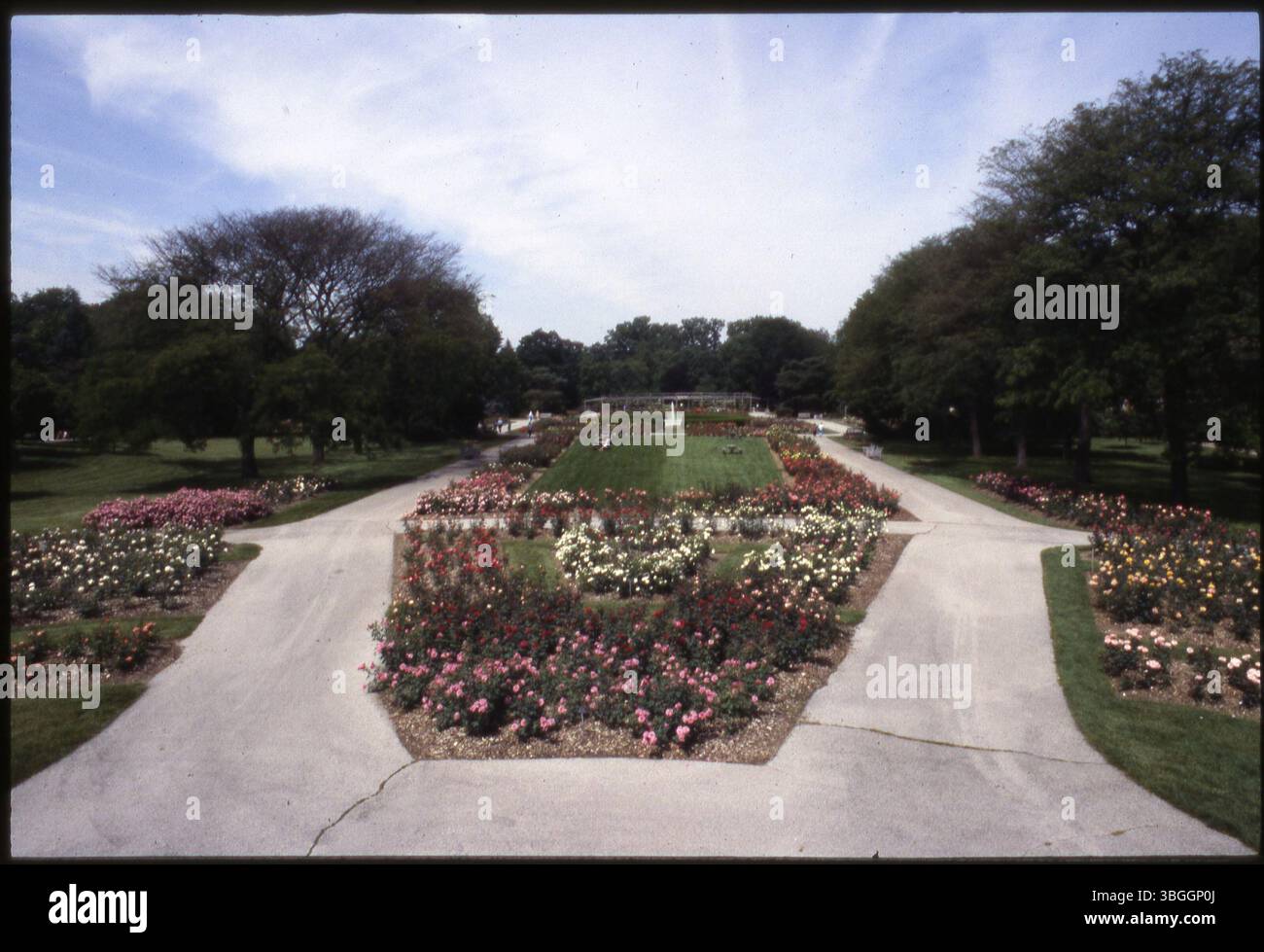 Inside the Columbus Park of Roses, a 13-acre park that opened in June ...