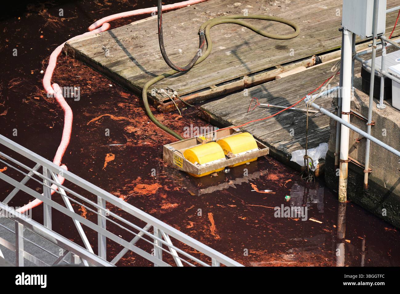 Diesel fuel is seen in the Baltimore Harbor, Thursday, June 5, 2025, as ...