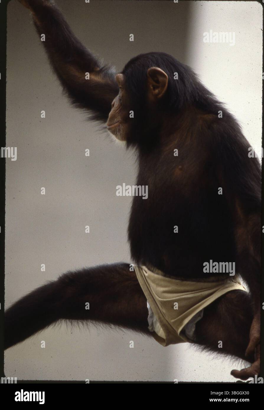 Zoo promotions hi-res stock photography and images - Alamy