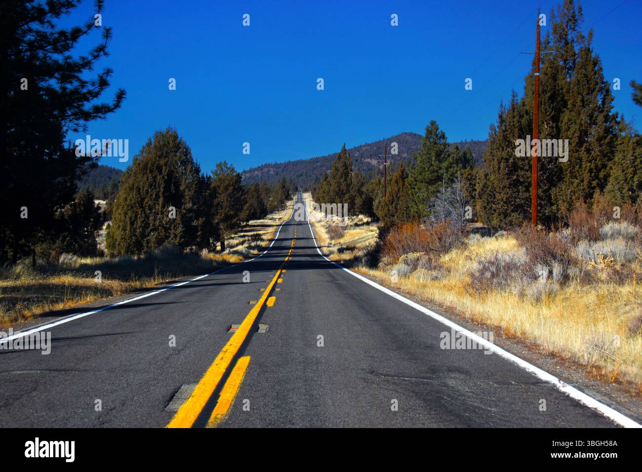 A remote two-lane highway stretches through high desert forest near ...
