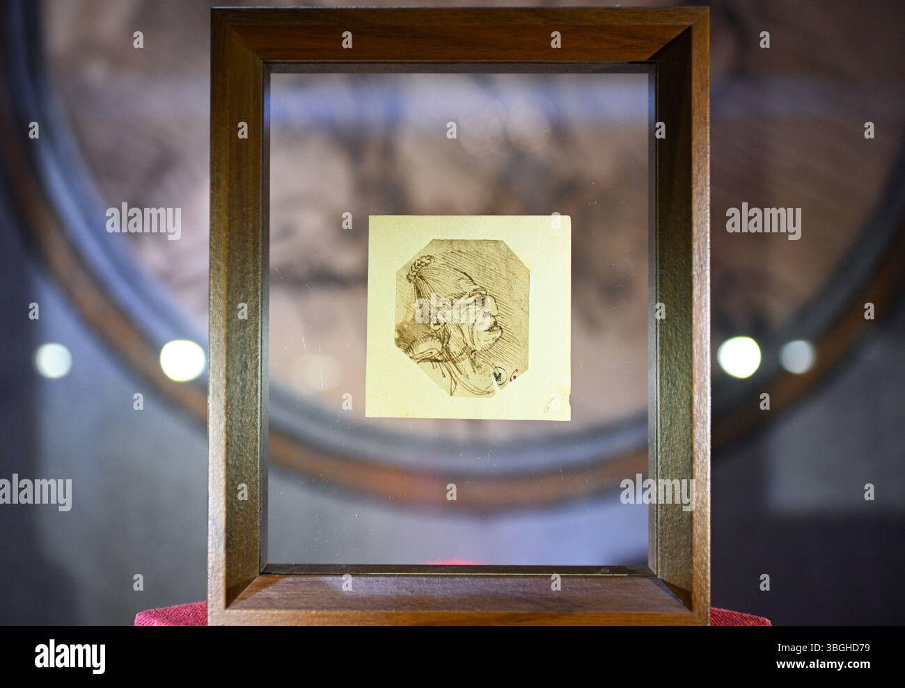 Beijing, China. 5th June, 2025. This photo taken on June 5, 2025 shows a fragment of Leonardo da ...