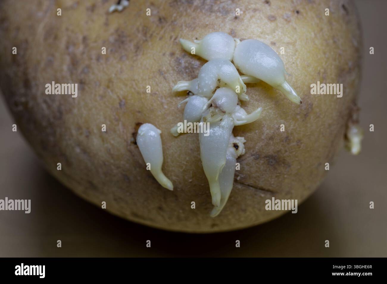 Germs hi-res stock photography and images - Alamy