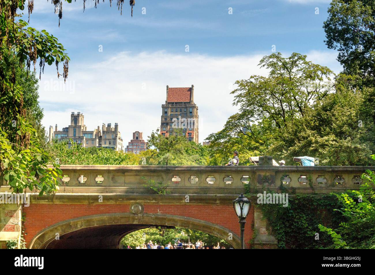 Drip Arch Bridge in Central Park New York Stock Photo - Alamy