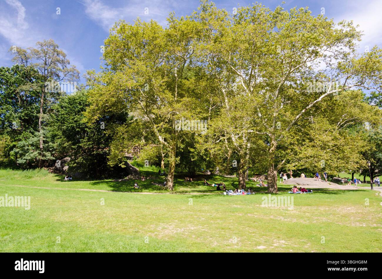 Overhanging tree hi-res stock photography and images - Alamy