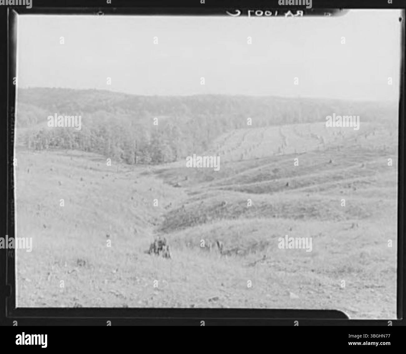 This image depicts cut-over land and the early stages of gully erosion ...