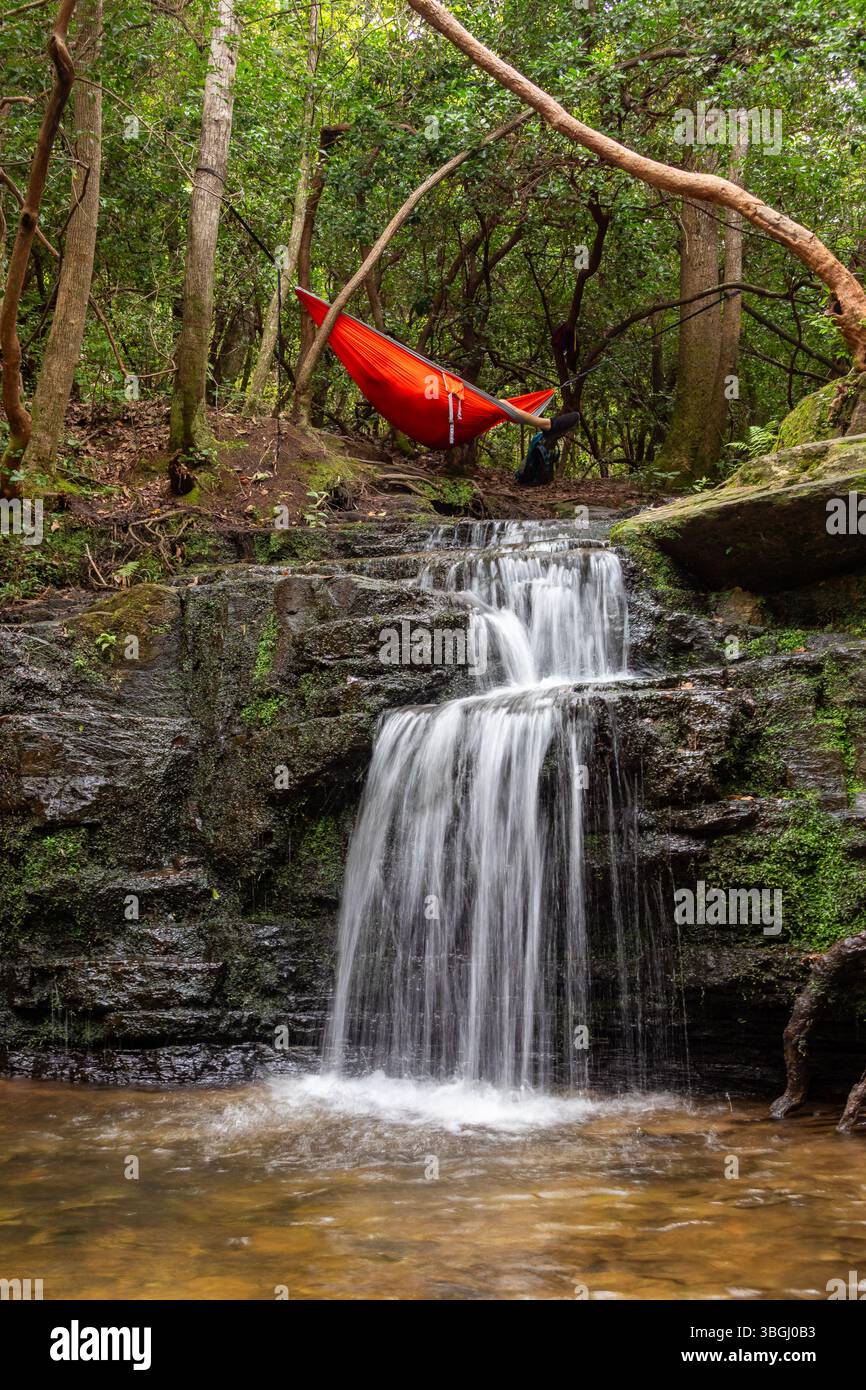 One person red hammock camping above waterfall in forest at F.D. Roosevelt State Park, Pine ...