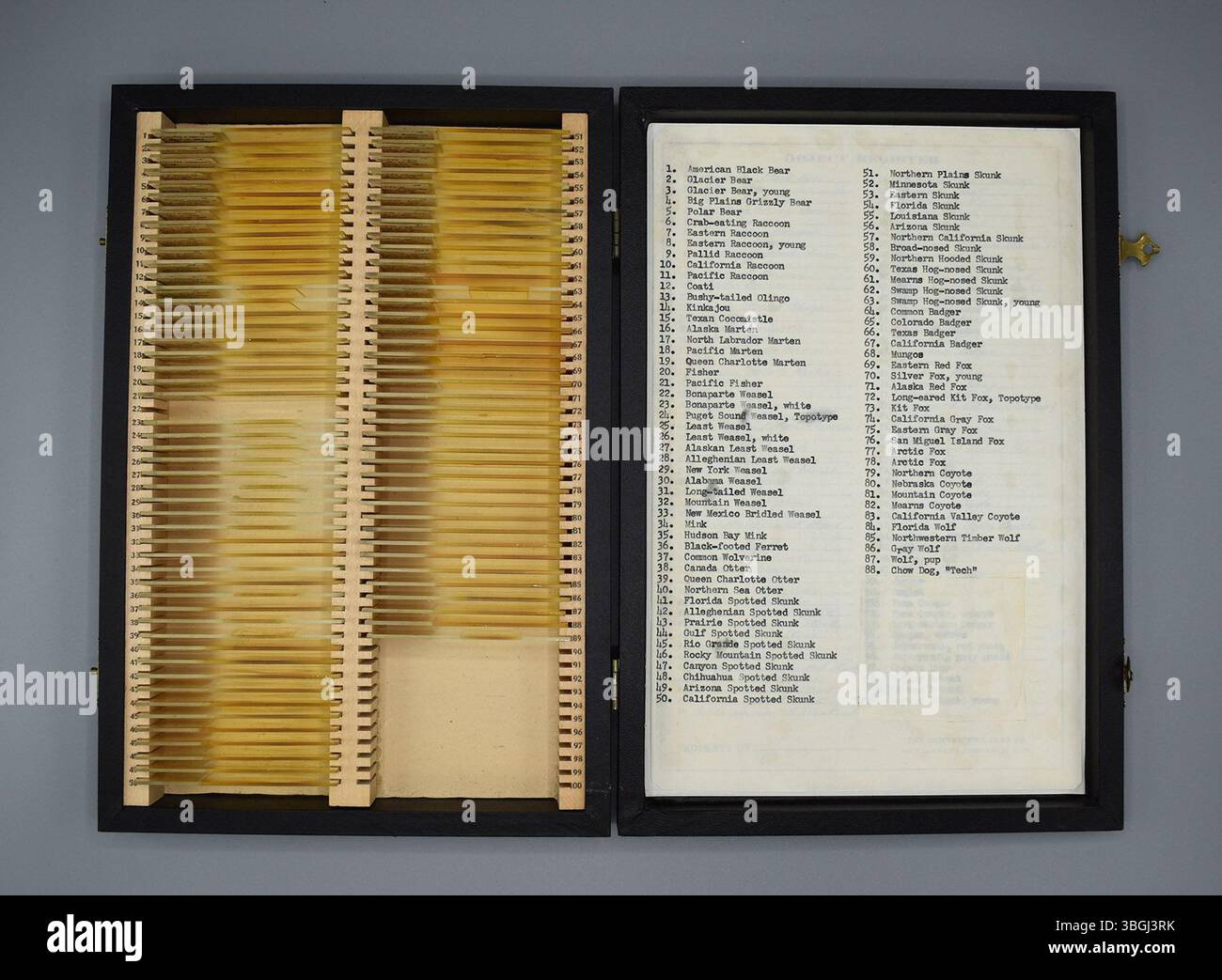 Bureau of biological survey hi-res stock photography and images - Alamy