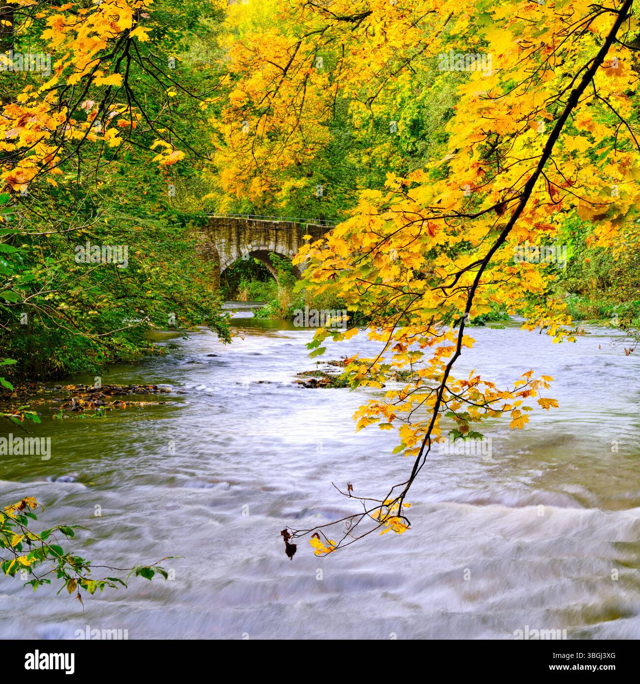 Old stone arch bridge in the valley of the nister hi-res stock ...