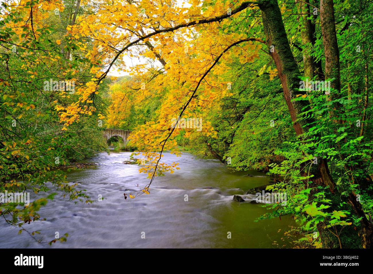 Old stone arch bridge in the valley of the nister hi-res stock ...