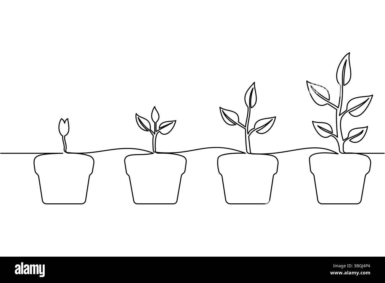 Tree of life line drawing hi-res stock photography and images - Alamy