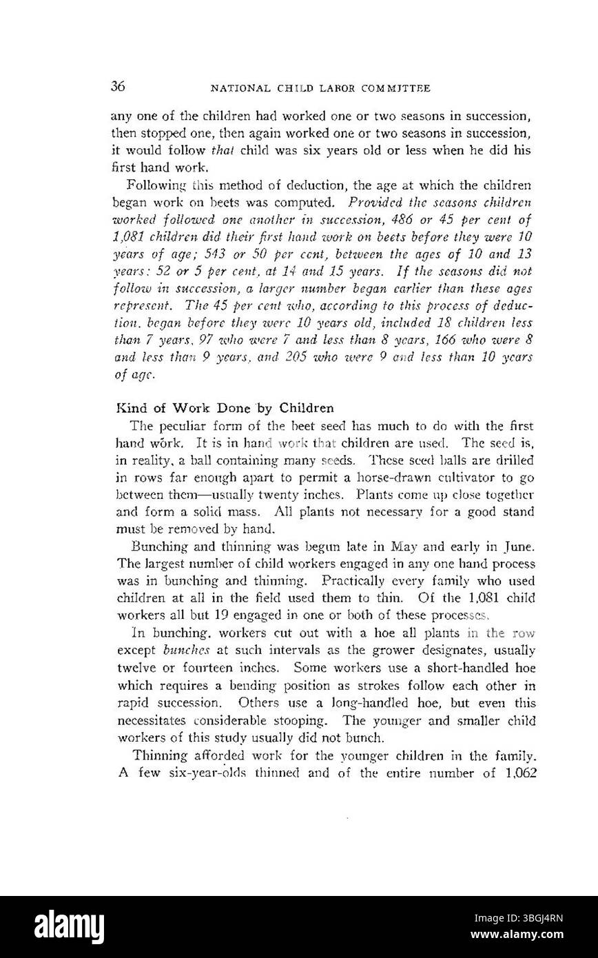 This image depicts children working in the sugar beet fields in the ...