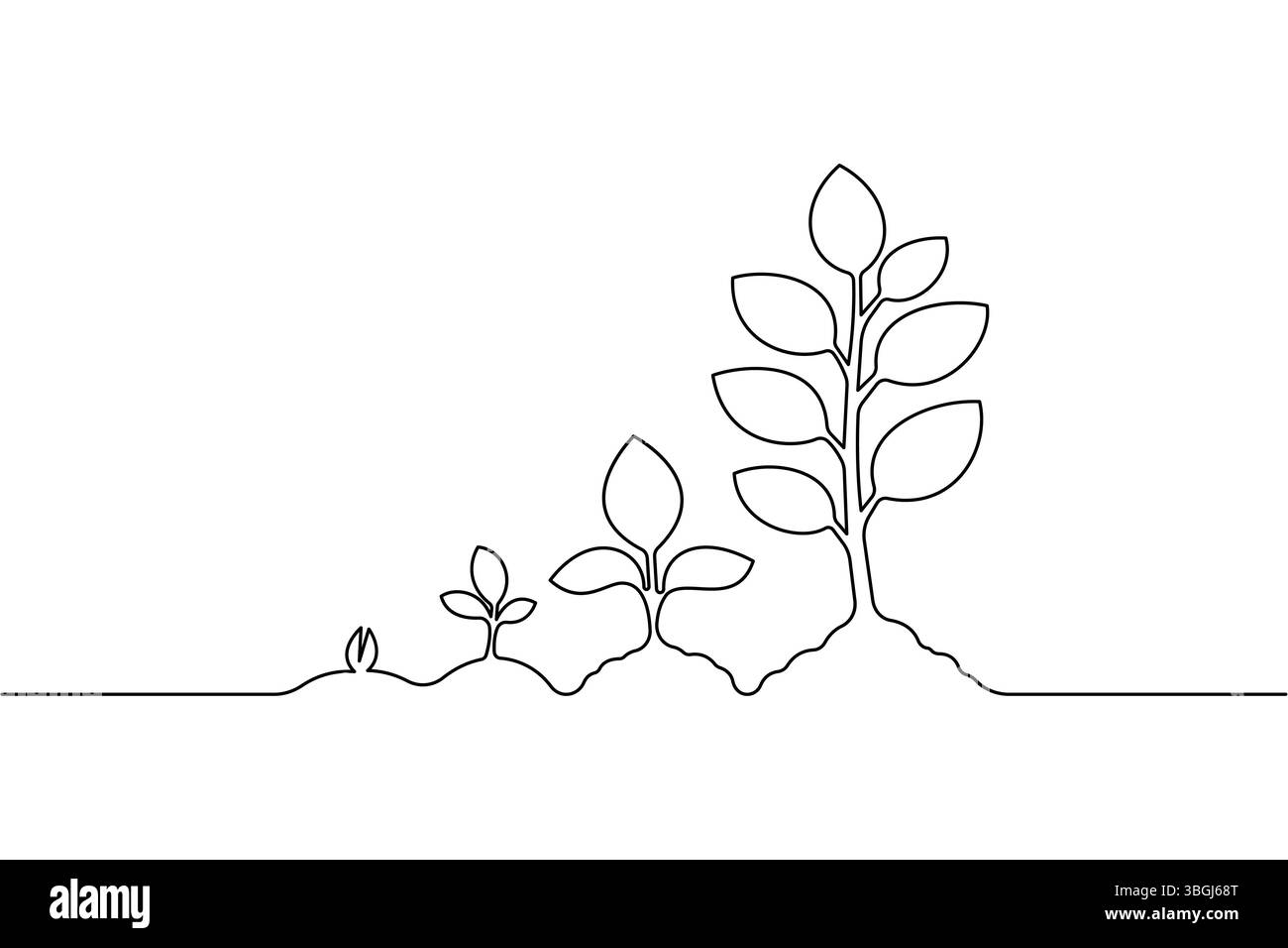 Simple one Line vector icon plant life cycle growth stages Stock Vector Image & Art - Alamy