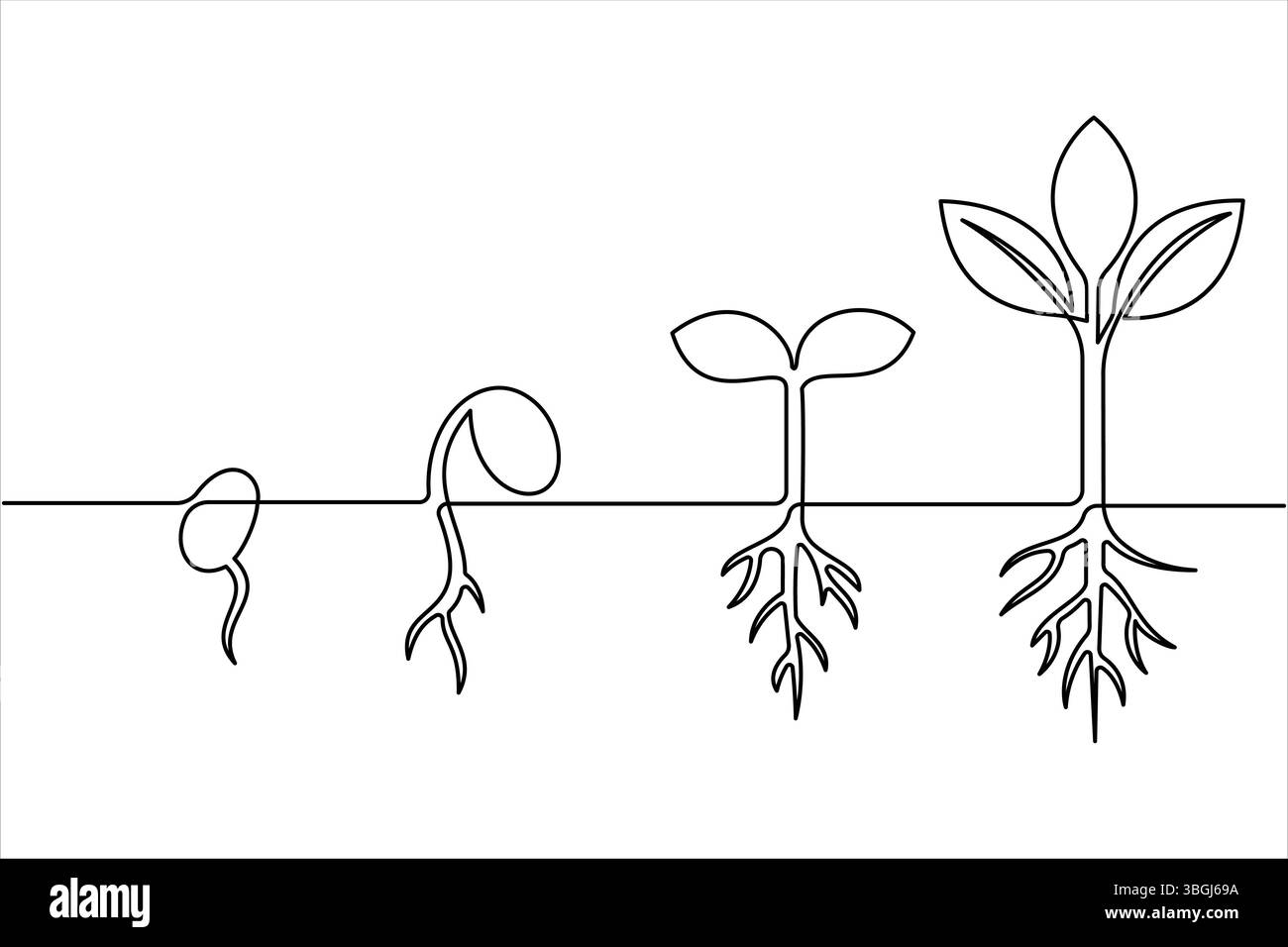 Seed tree growth drawing Stock Vector Images - Alamy
