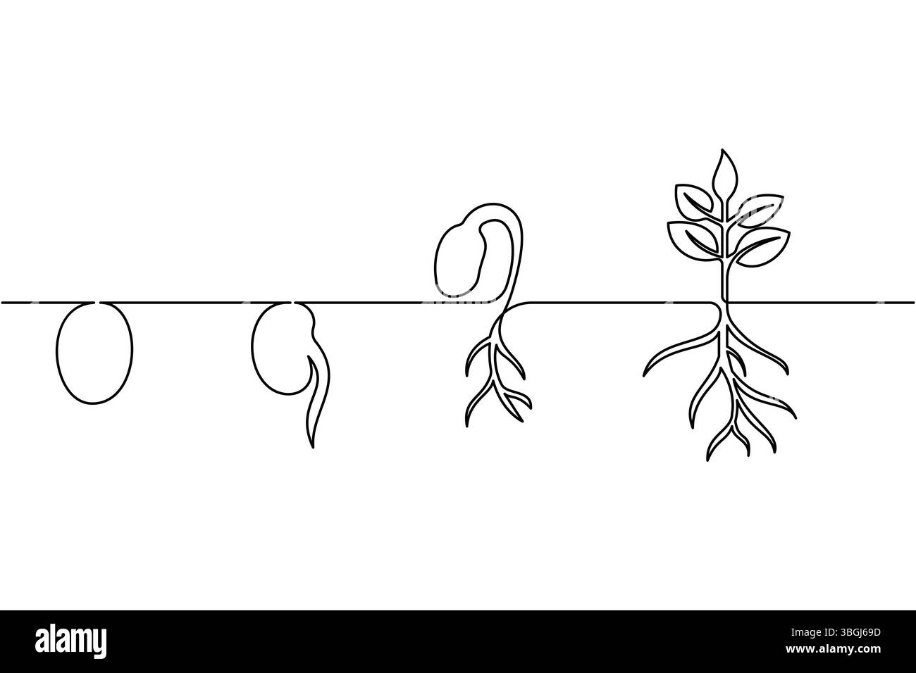 Minimalist growing plant line hi-res stock photography and images - Alamy