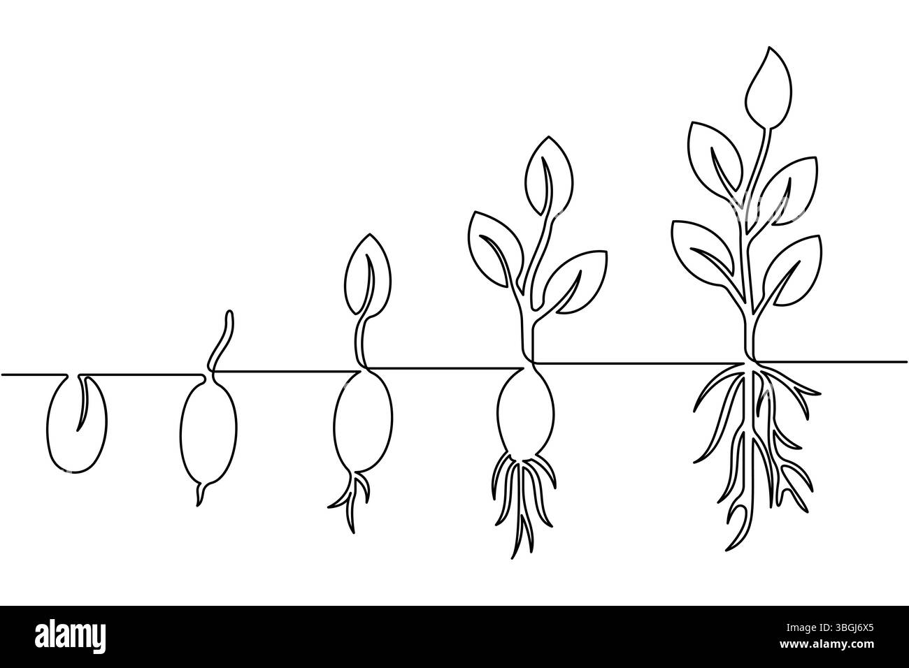 One line plant growth icon linear style illustration and minimalist ...