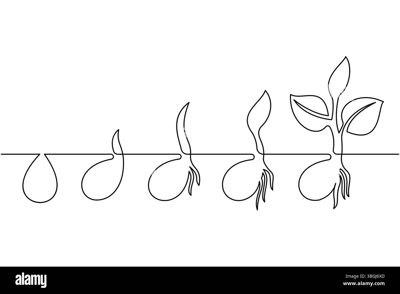 Plant illustration art Stock Vector Images - Alamy