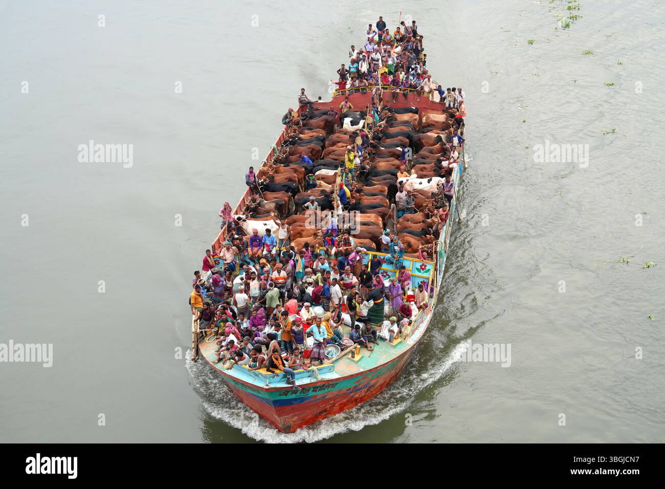 June 5, 2025, Dhaka, Dhaka, Bangladesh: Ahead of the Muslim religious festival Eid-ul-Adha ...