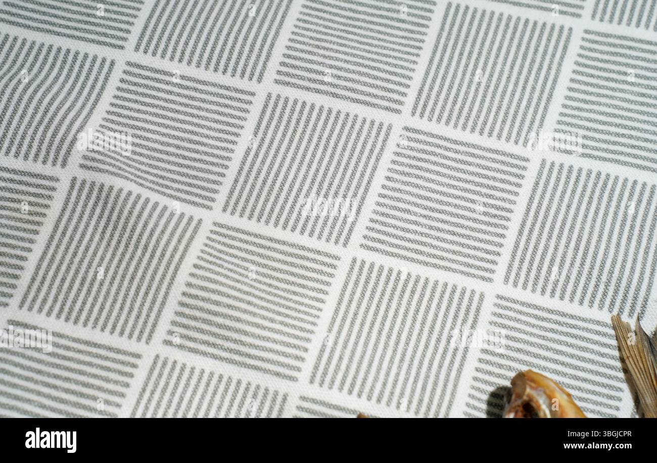 Minimalist top-down image showing the corner of dried fish placed on a ...