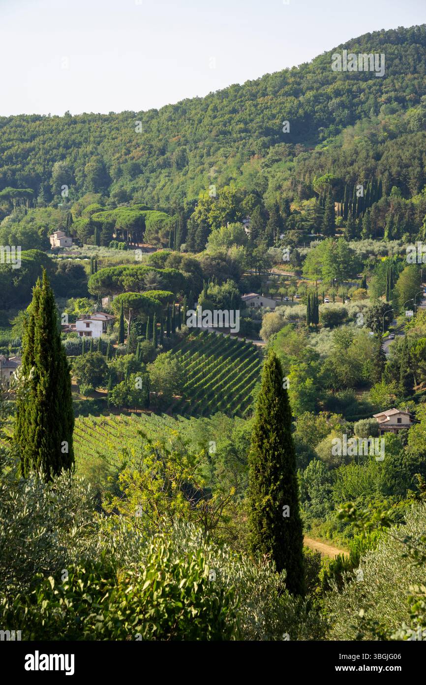 View from Montepulciano into a typical Tuscan landscape in Val d'Orcia ...