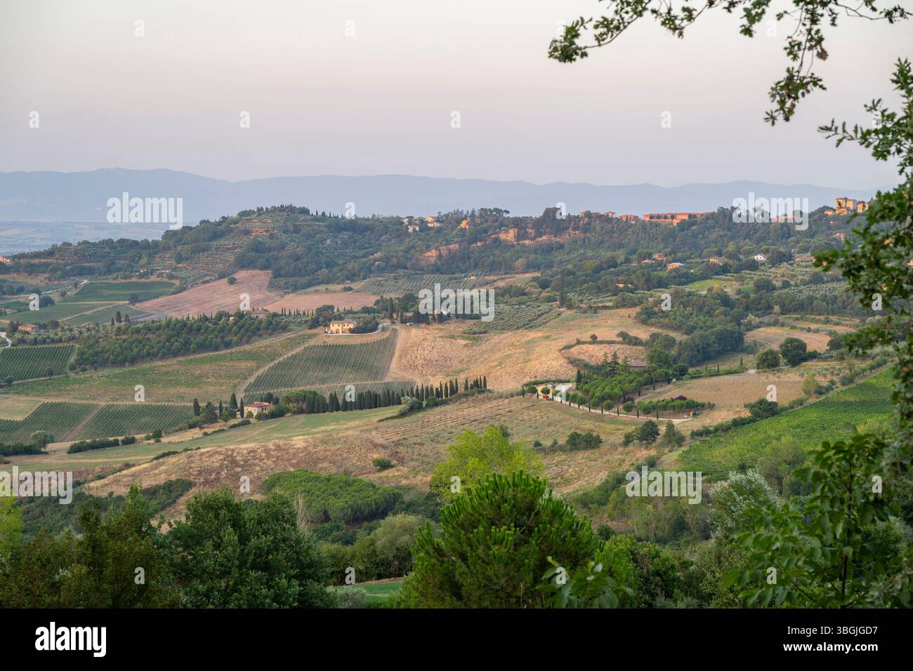 Typical viw of the Tuscan landscape in Val d'Orcia with hills, trees ...