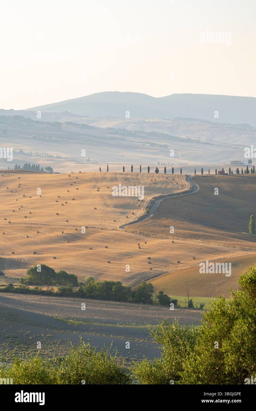 Typical Tuscan landscape in Val d'Orcia with hills, trees, fields ...