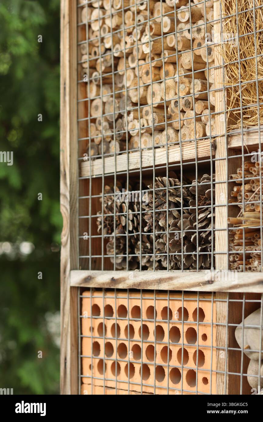 Insect houses. Wooden insect house for pest control and pollination of ...