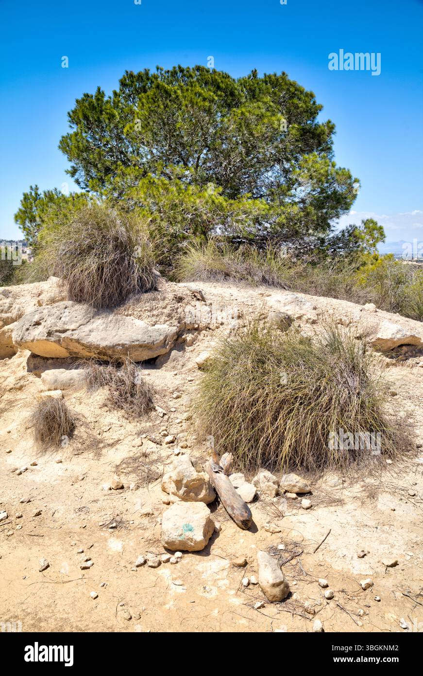 Parque El Recorral de Rojales, nature park, landscape, nature, Rojales ...