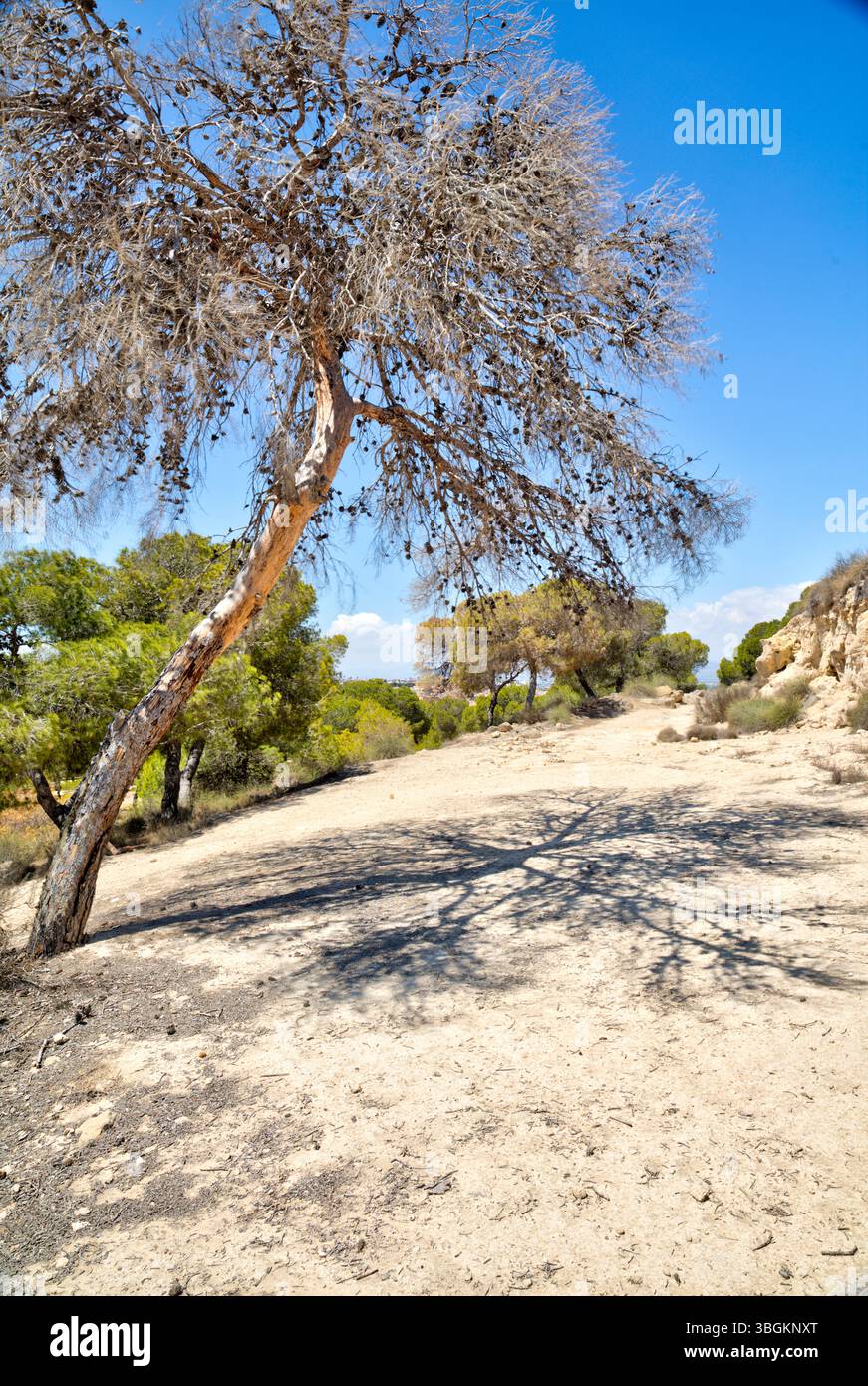 Parque El Recorral de Rojales, nature park, landscape, nature, Rojales ...