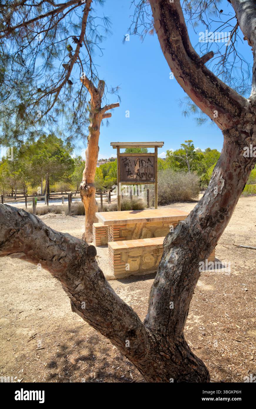 Parque El Recorral de Rojales, nature park, landscape, nature, Rojales ...