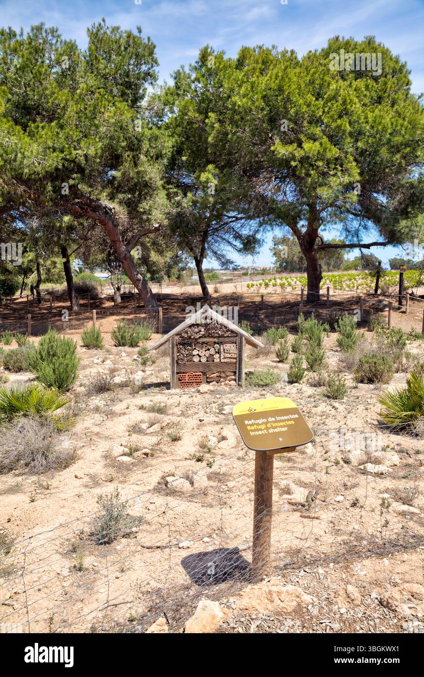 Las Lagunas de la Mata and Torrevieja Natural Park, natural park ...