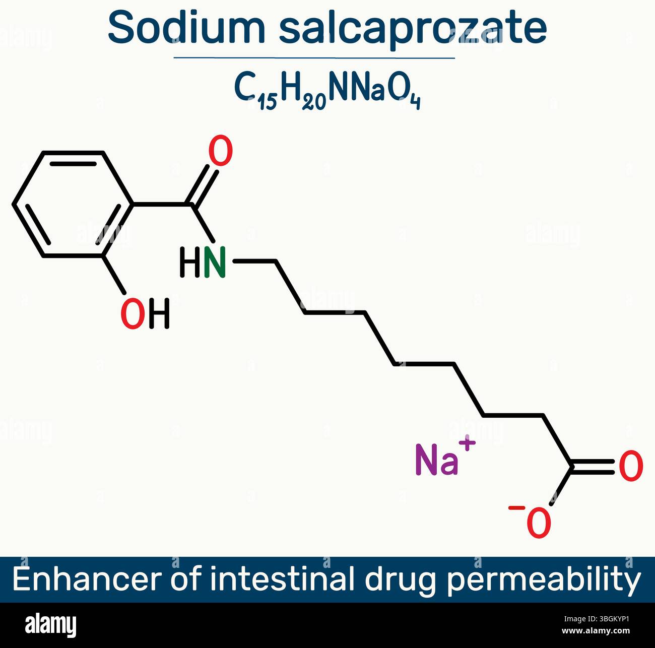 Sodium salcaprozate, SNAC molecule. Absorption enhancer for oral ...