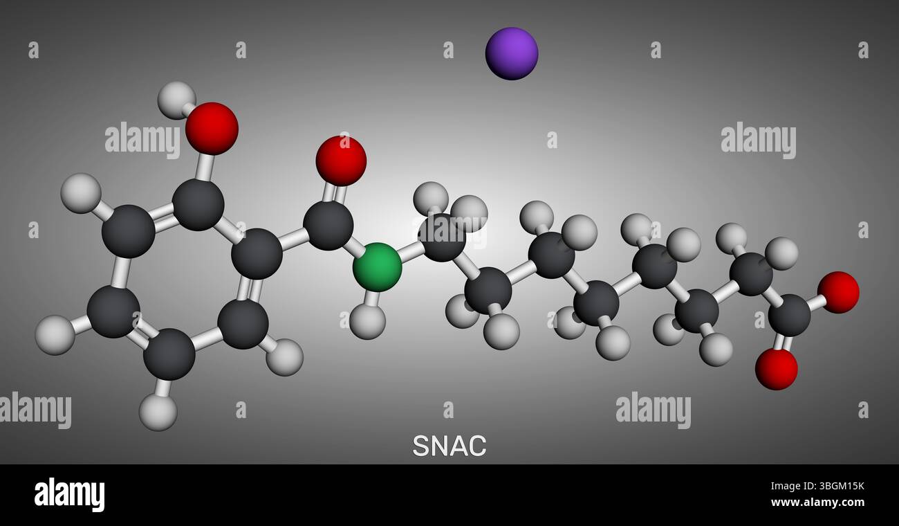 Sodium salcaprozate, SNAC molecule. Absorption enhancer for oral ...
